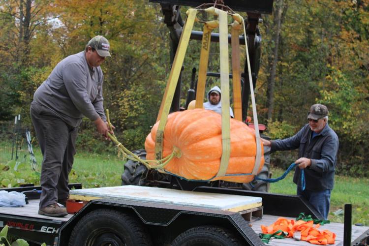 Monster Pumpkin - 961 pounder takes 11th at Nekoosa festival ...