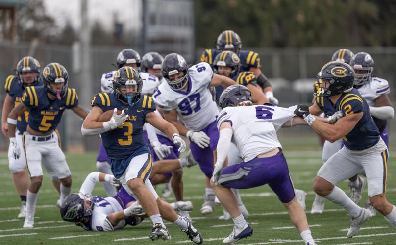 LOCAL COLLEGES: Blugolds topped in football finale | Local Colleges ...