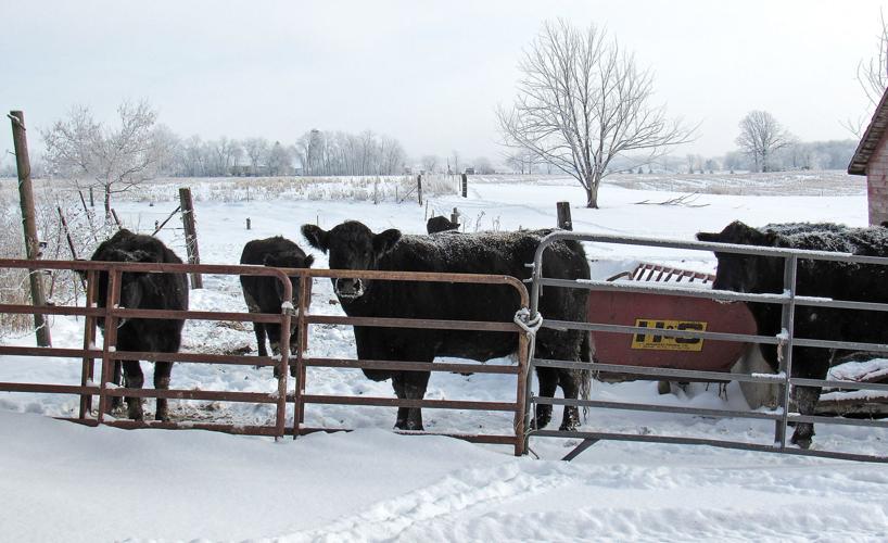 Fresh from the farm: Larsen Family Meats’ on-farm store caters to ...