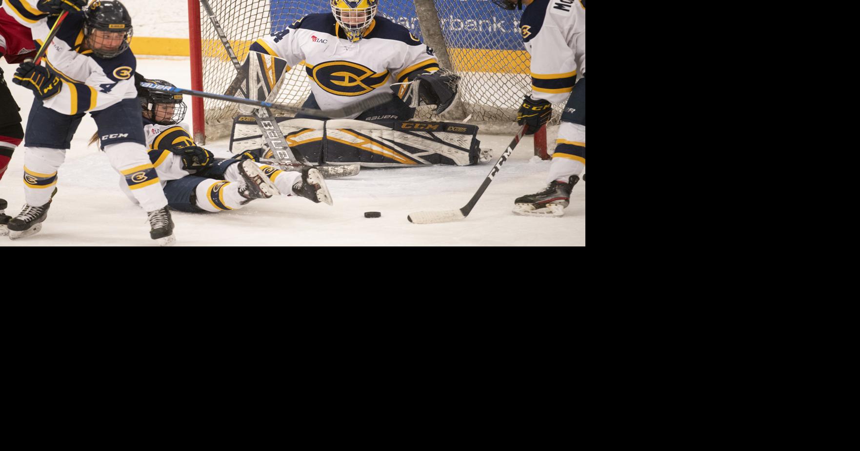 UW-EC women's hockey to face Hamline at Hobbs, building on early games ...