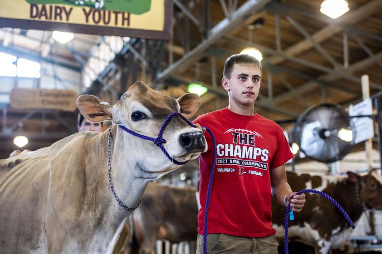 Dairy shows remain ‘status quo’ at Wisconsin State Fair despite ...