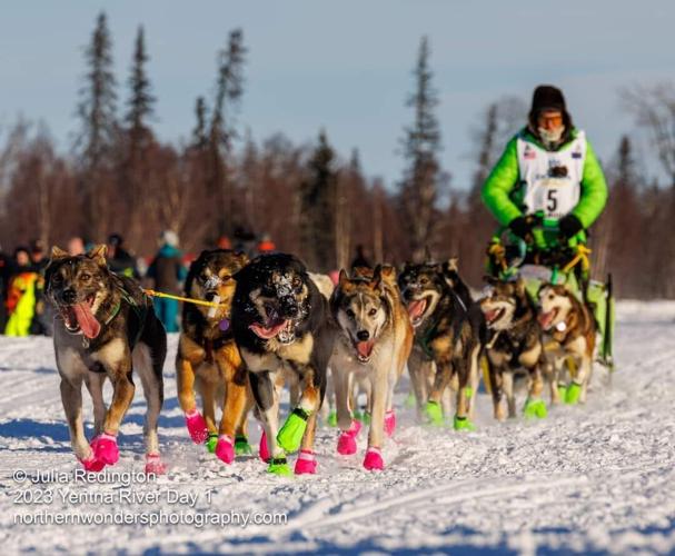 Born to run: Brule musher conquers Iditarod a year after crash ...