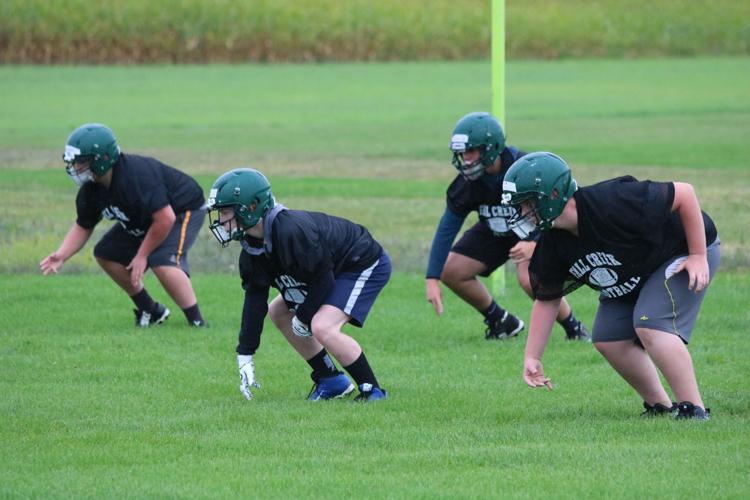 Prep football: Pandemic limits prep time for new Fall Creek coach ...