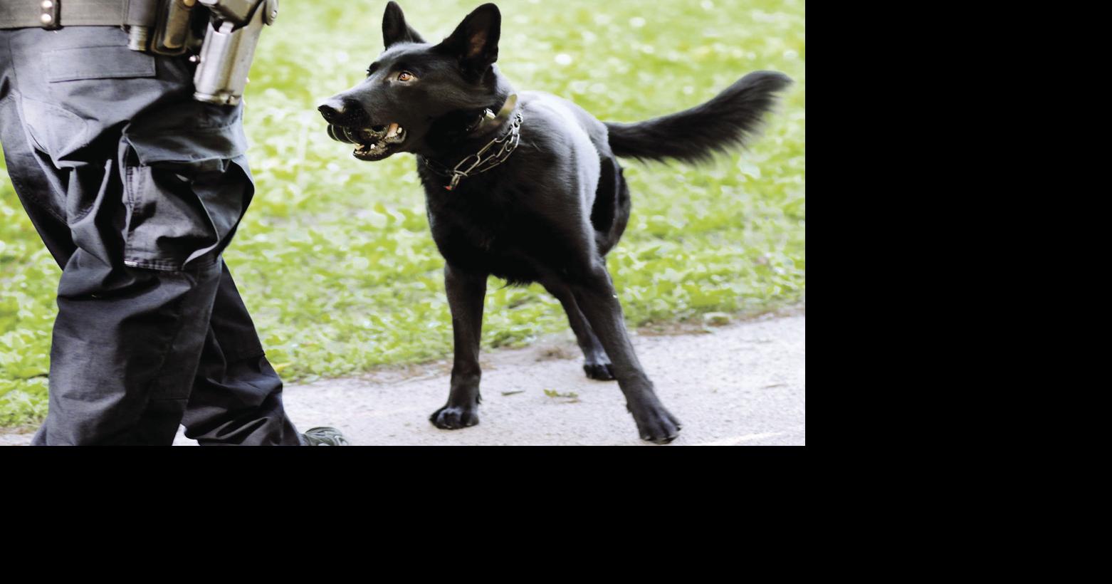 ECPD plans replacement K-9 after Jake retired in fall | Front Page ...