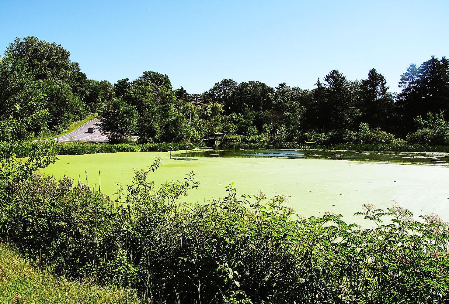 Wolske Bay dredging to begin this summer | Front Page | leadertelegram.com