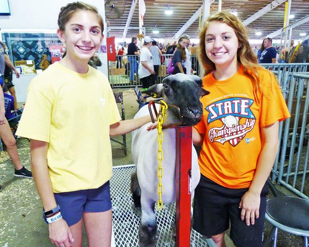Sheep keep Roloff sisters active | Livestock | leadertelegram.com