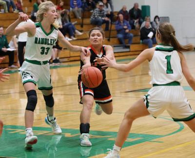 Prep roundup (11/23): Elk Mound girls basketball gets past Regis ...