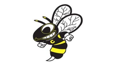 Prep roundup (10/20): Cadott volleyball moves on to face top-seeded ...