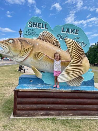 Shell Lake walleye undergoing restoration | Getting Out ...
