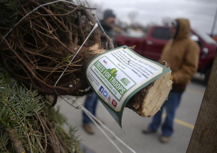 Trees for troops: Wisconsin growers donate 600 trees to military ...