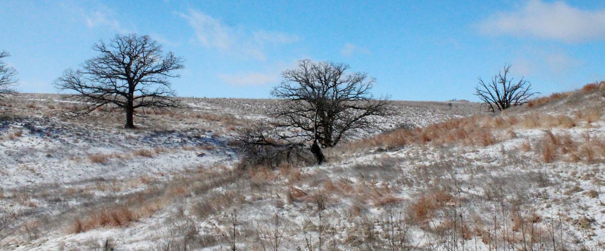 Couple prides themselves on sustainable state of mind | Environment ...