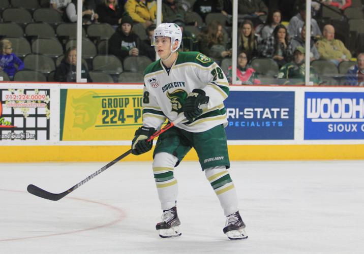 Junior hockey: Stange, Urdahl made impact in first full USHL seasons ...