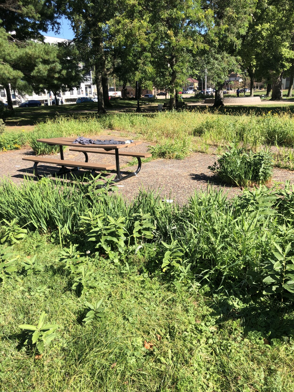 Is Wilson Park being neglected? | News | leadertelegram.com