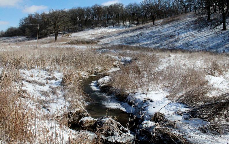 Couple prides themselves on sustainable state of mind | Environment ...