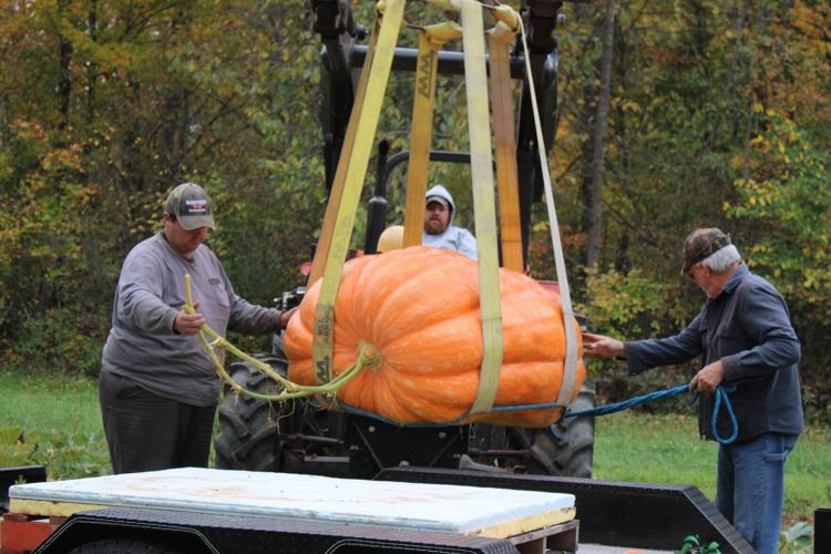 Monster Pumpkin - 961 pounder takes 11th at Nekoosa festival ...