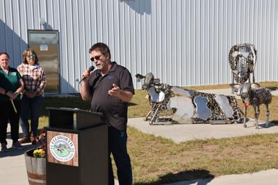 'Holy cow!': Ellsworth Cooperative Creamery unveils Stout-made statues ...