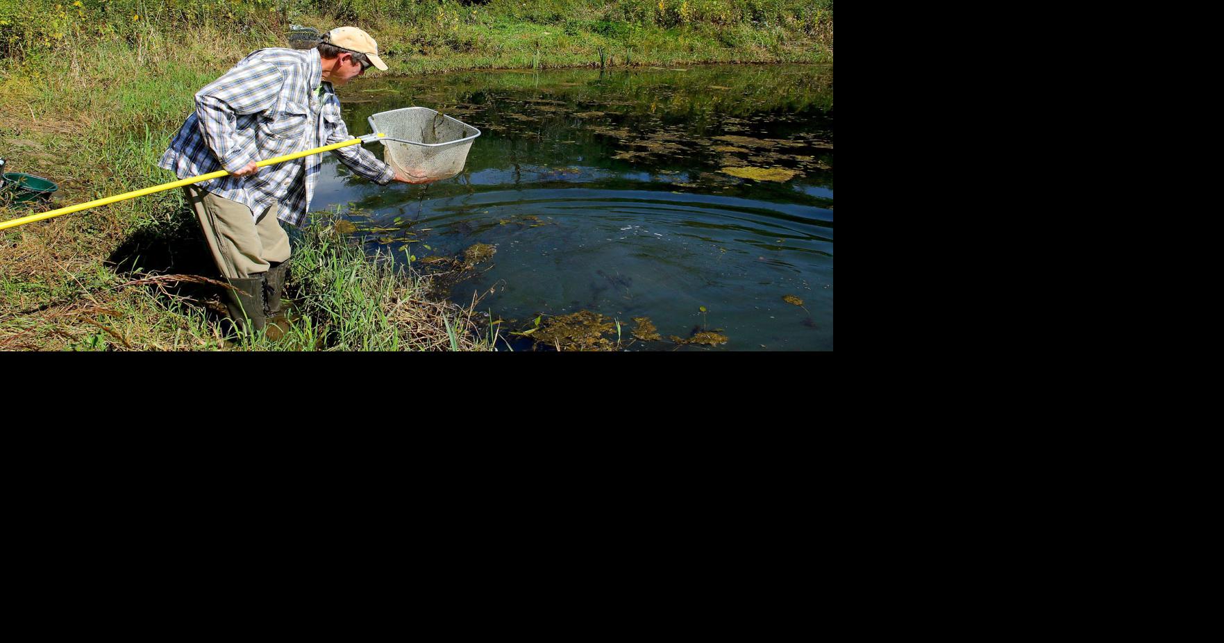 Biologists aid endangered Wisconsin River fish | Outdoors ...