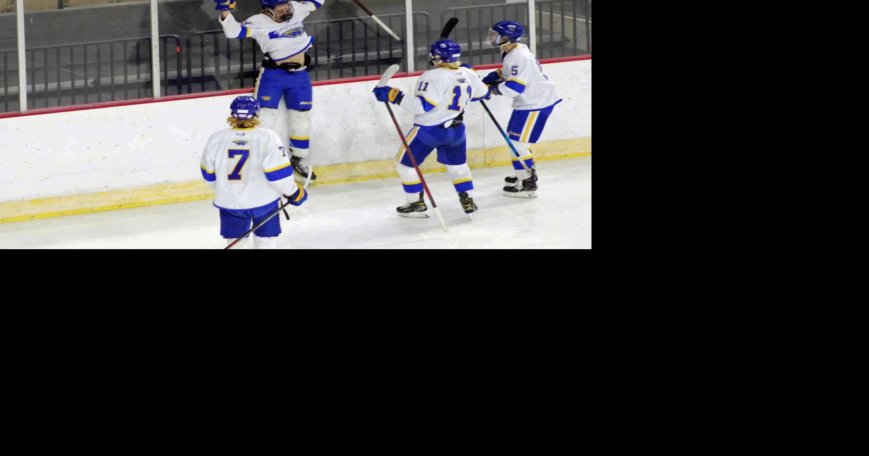 Prep boys hockey: Rice Lake scores 3 unanswered goals, tops Lakeland to ...