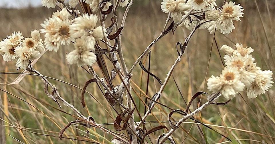 UP NORTH: In search of the everlasting | Getting Out | leadertelegram.com