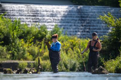 College students get right into the river during hands-on research ...