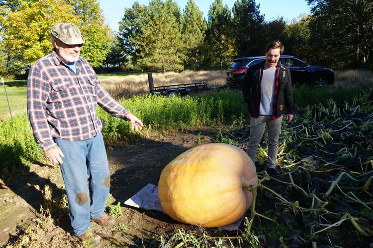 Park Falls farmer's pumpkin nears 1,400 pounds | Country Life News ...
