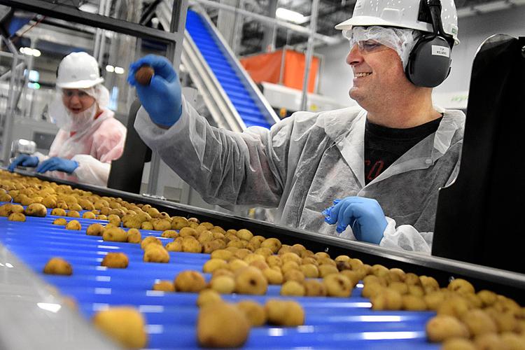 The Little Potato Co. that could: Canadian company chooses Wisconsin ...