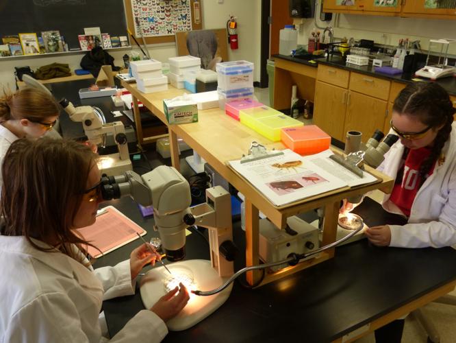 UWEC’s Team Squirrel analyzes field research in collaboration with UC ...