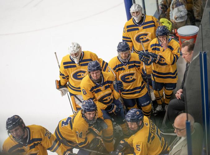 UWEC Blugolds in action | | leadertelegram.com