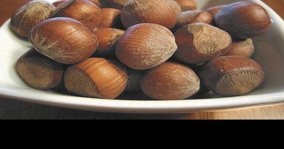 Minnesota grower has high hopes for hazelnuts in Upper Midwest | Farm ...