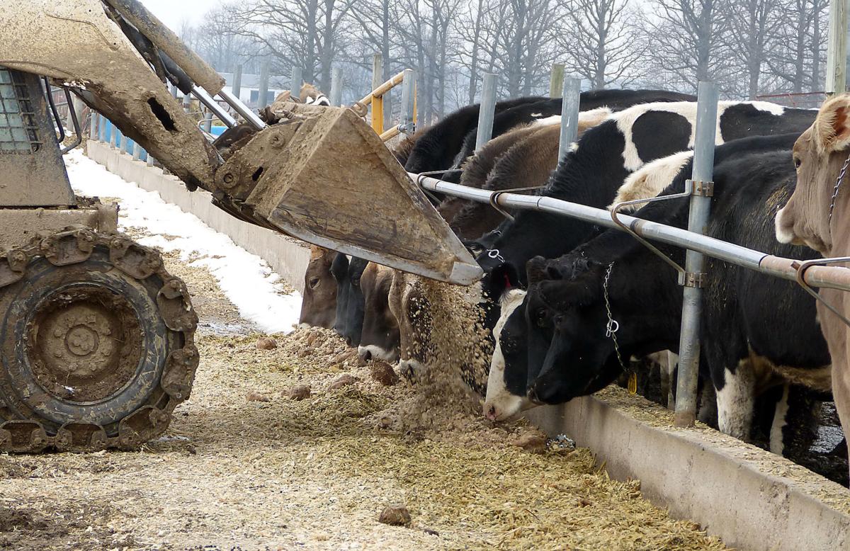 The candy bar crop: Farmer feeds sugar beets, looks to grow industry ...