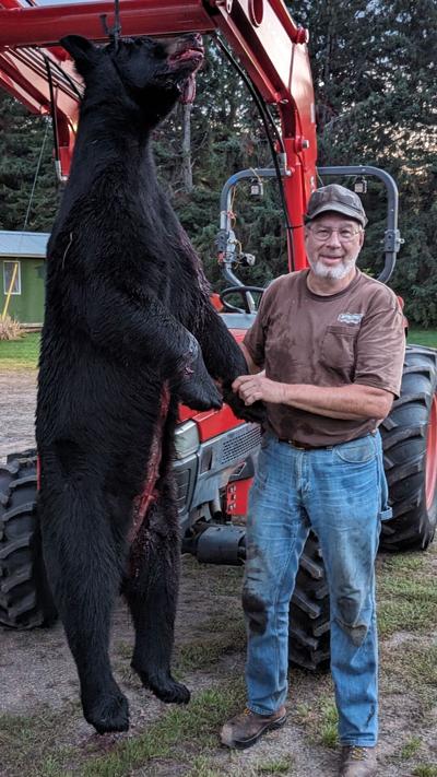Bear hunt numbers dip but still strong | Outdoors | leadertelegram.com