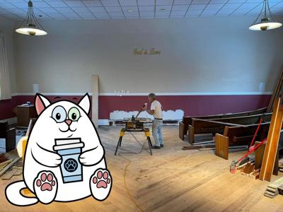 Brewing and mewing combine for upcoming local cat café | Pets ...