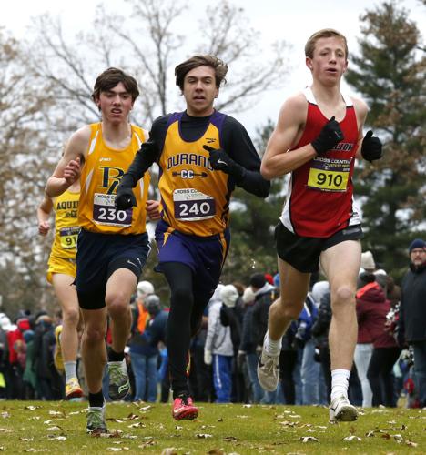 Cross country: State title well worth the wait for Durand's Schneider ...