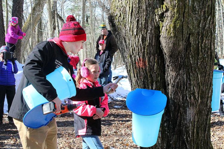 Producers group kicks off maple syrup season in Wisconsin | Country ...