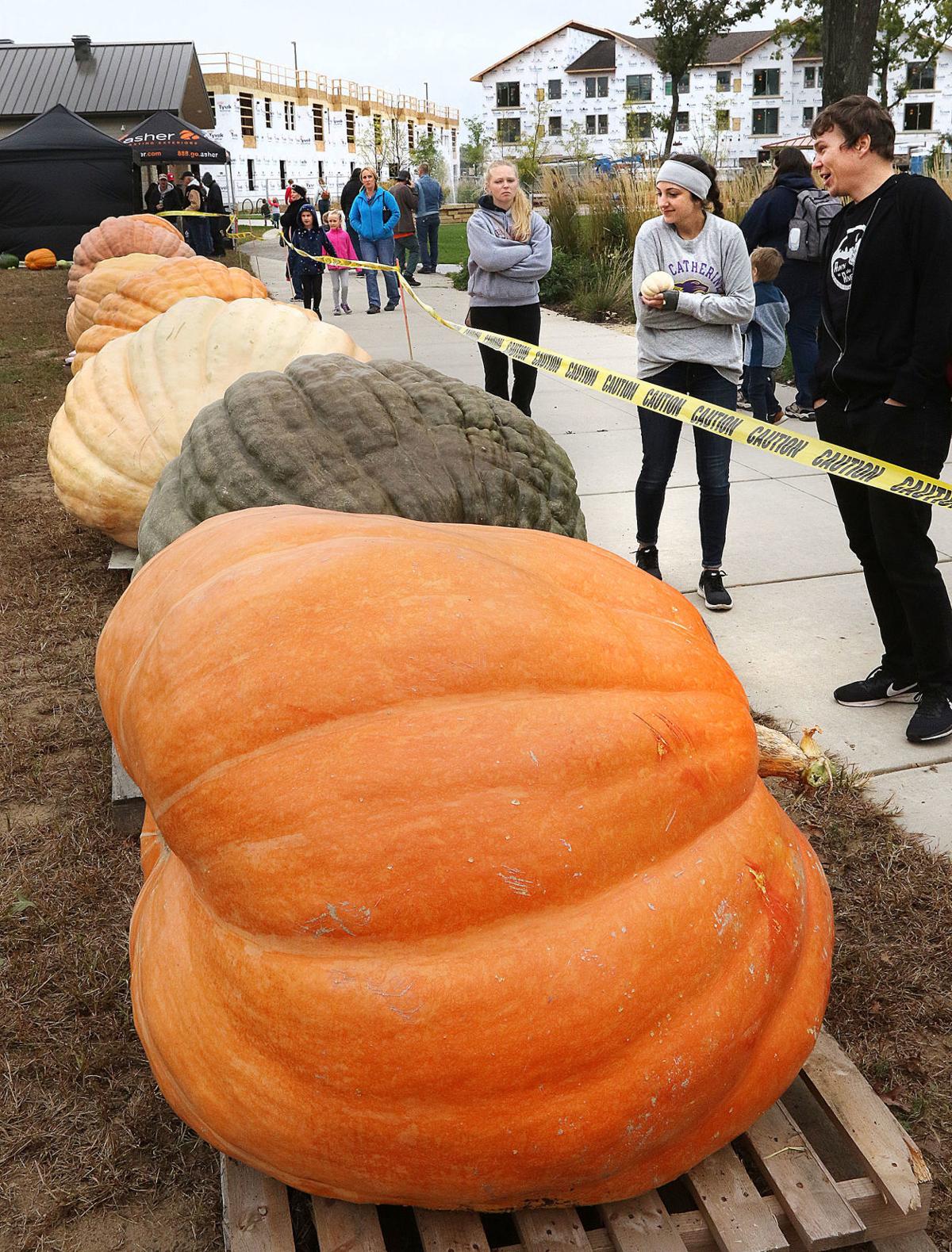 Giant Pumpkin Festival brings sizable crowd to River Prairie | Front ...