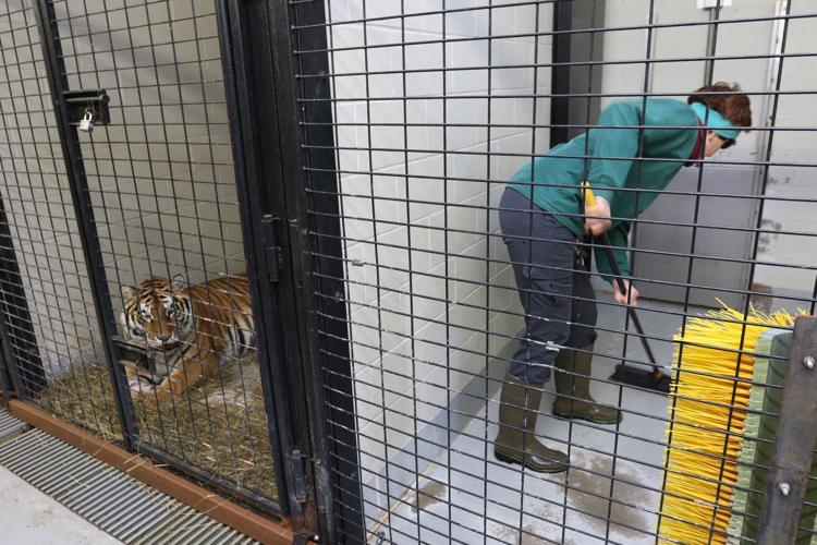 Zookeeper stresses safety while working with animals | Front Page ...