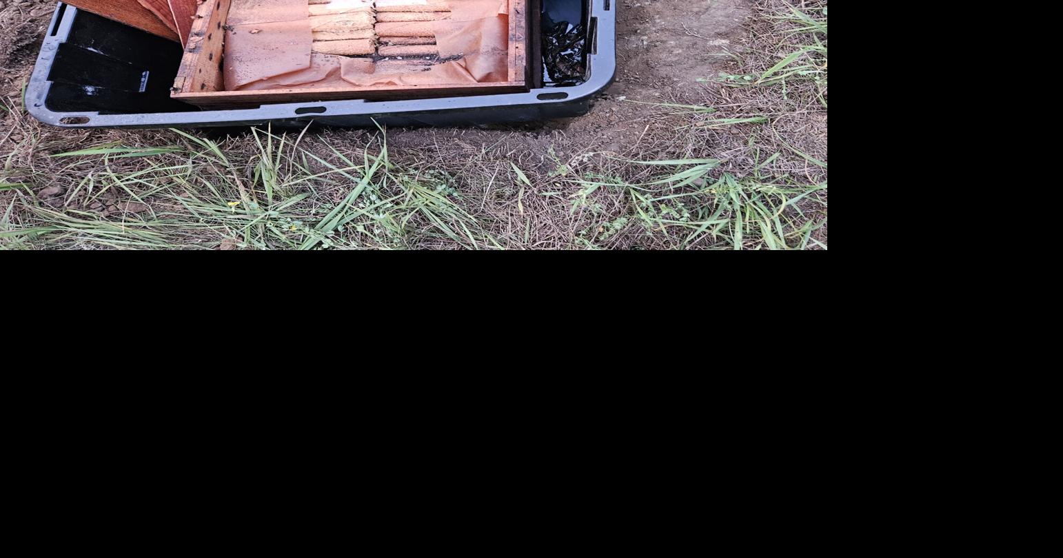 'Possible dynamite' leads investigators to the real thing | Local News ...
