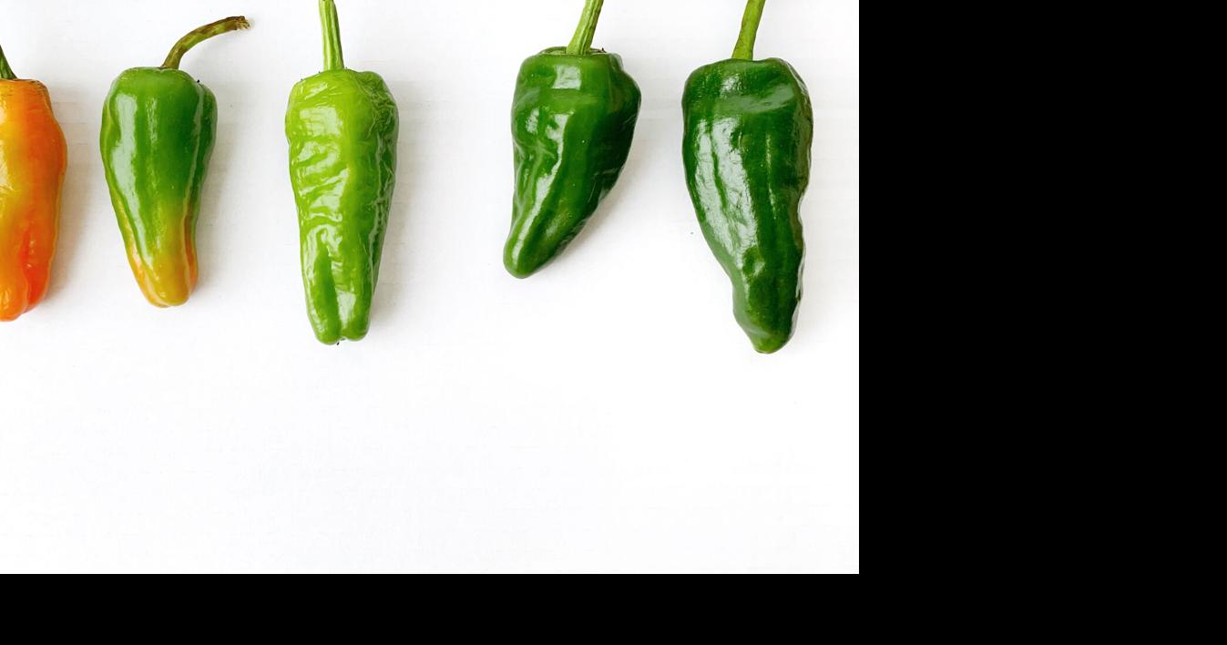 Picking the right peppers | Home and Garden | leadertelegram.com