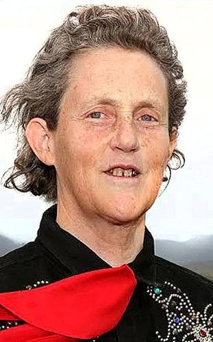 Grandin’s animal welfare focus put into action | Livestock ...