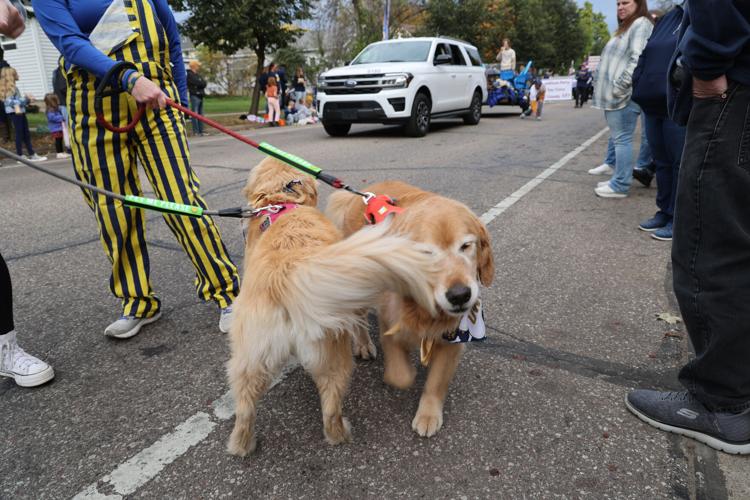 Photos: UWEC parades downtown for Homecoming weekend | Local News ...