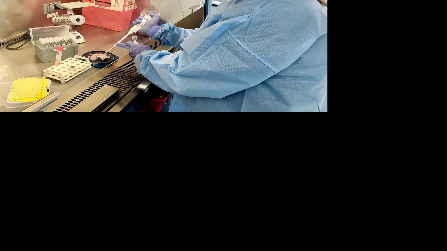 Marshfield Clinic's EC lab to run COVID-19 tests on-site | Covid-19 ...