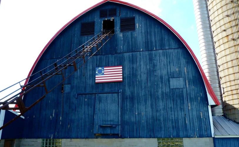 Discovering what works: Cover crop, water quality information shared ...