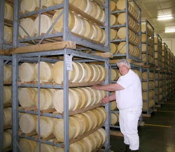 Local cheese factory wins at national competition | Front Page ...