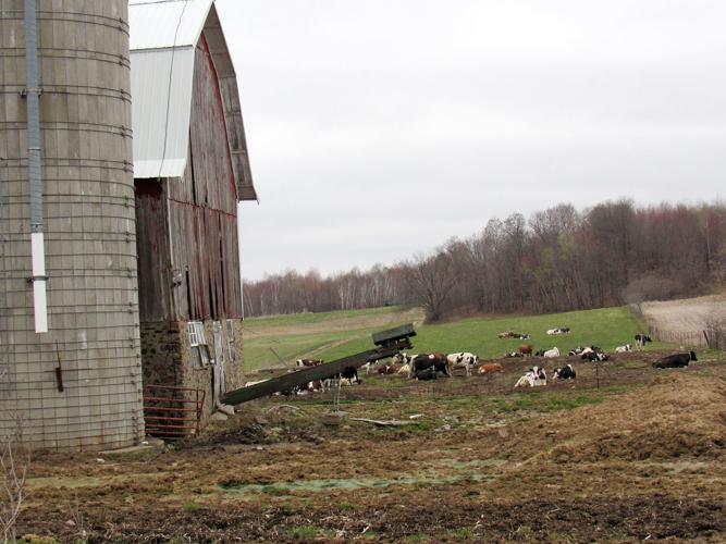 Chippewa County centenarian continues to love life on the family farm ...