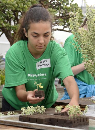 Ex­plore Ag en­cour­ages teenage girls to consider ag careers | Country ...