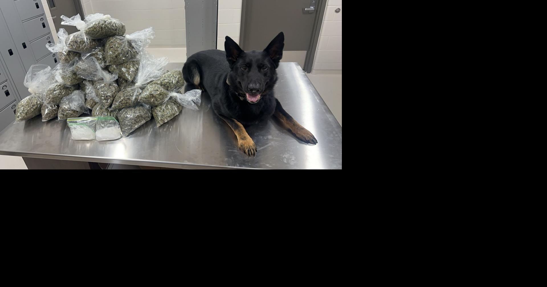 Traffic stop leads to 30 pounds of drugs | Front Page | leadertelegram.com