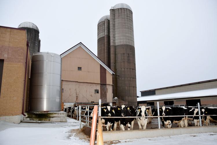 A family tradition: Weber’s in fifth generation of selling milk to ...