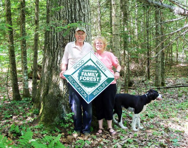 Wisconsin tree farm field day hosts in Bayfield County get most of what ...