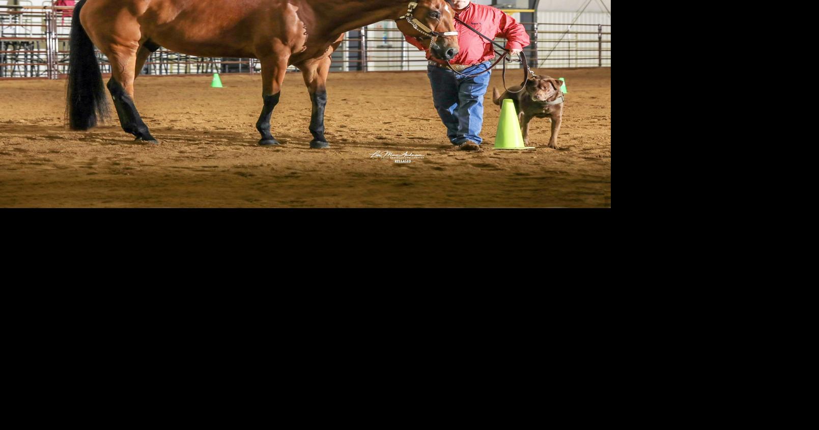 Showman to compete in upcoming Cap Gun Horse Show with his service dog ...
