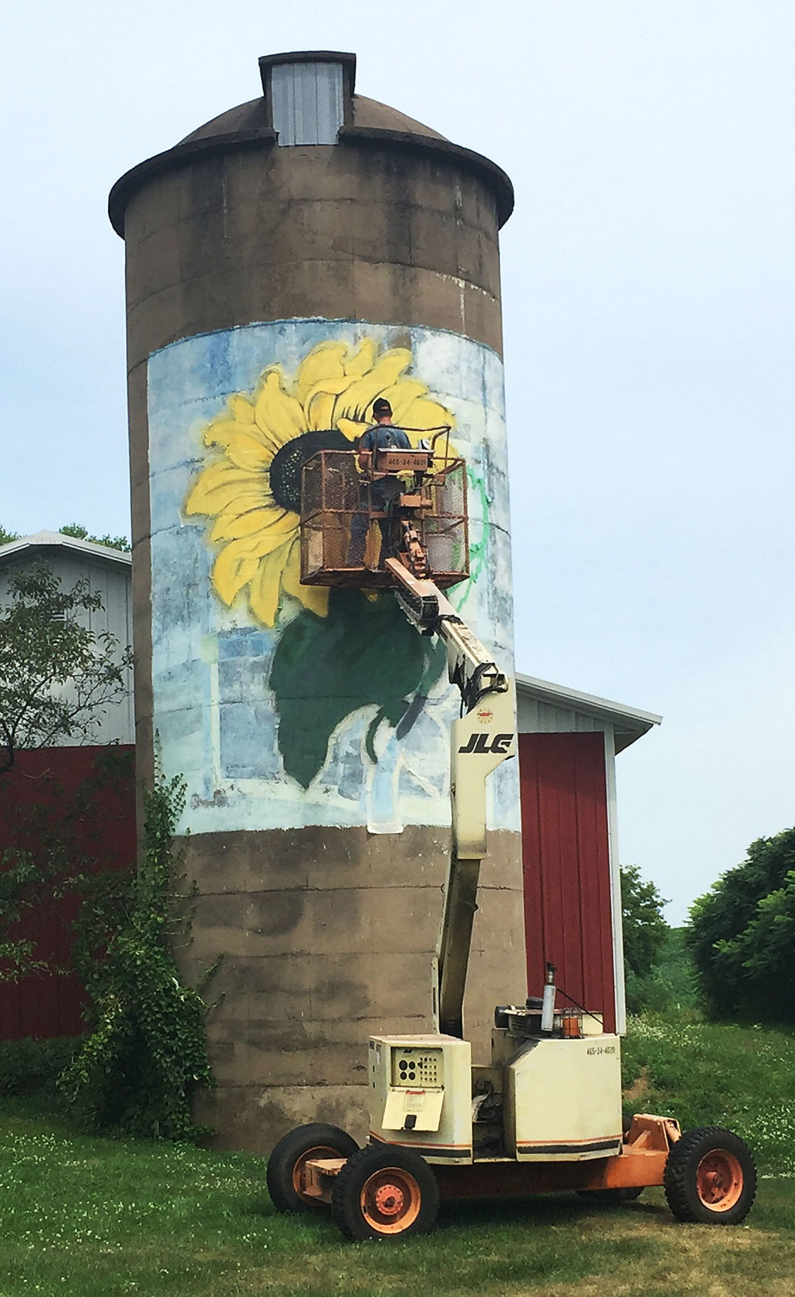 Silo gets sunflower makeover | Front Page | leadertelegram.com